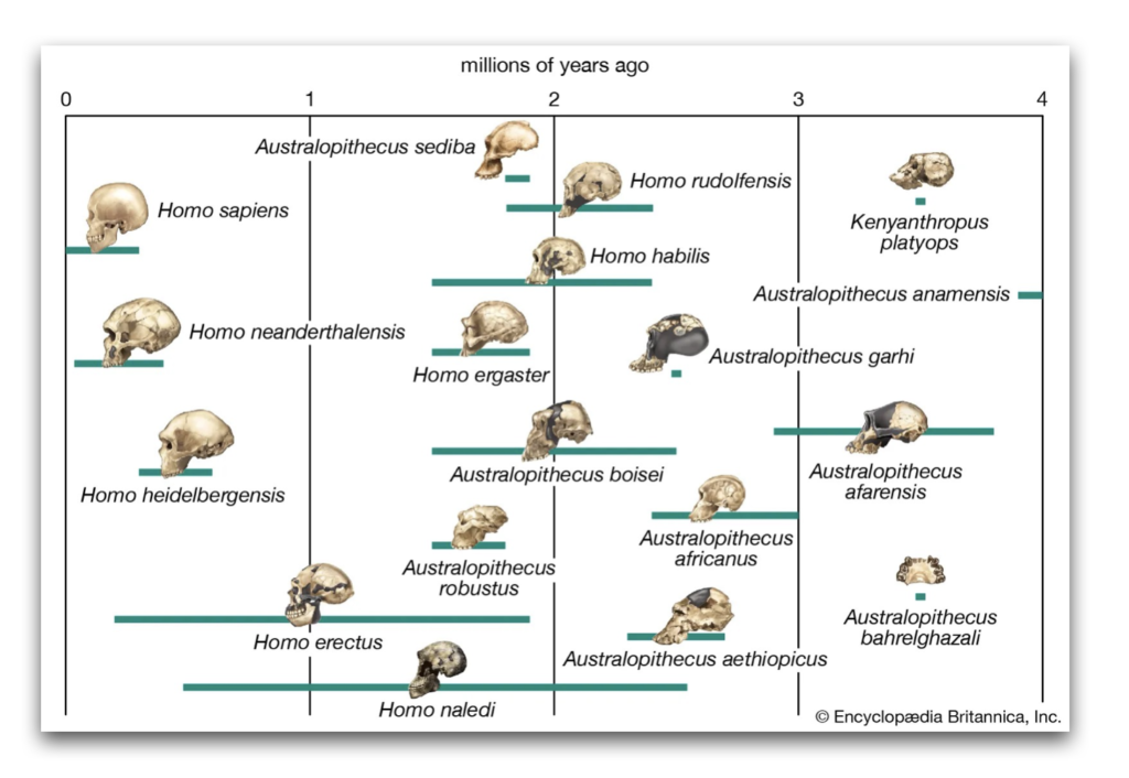 DLGP Blog | Thank God for Evolution